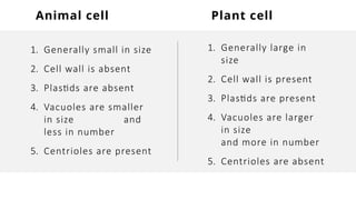 Cell Structure and Function-GRADE 7 Biology.pptx