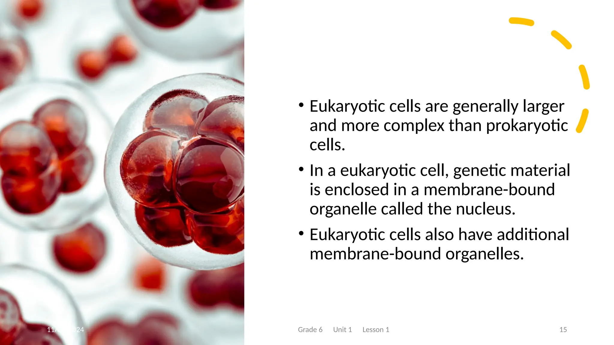 Cell structure and function.pptxmmmmmmmmm | PPTX