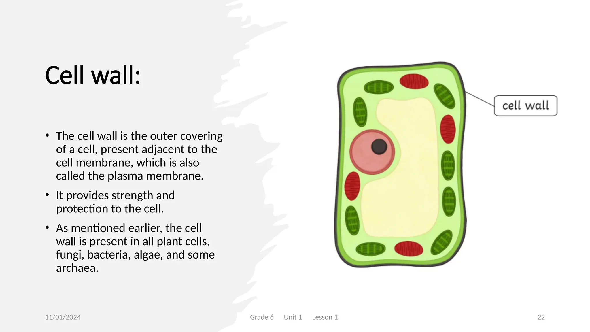Cell structure and function.pptxmmmmmmmmm | PPTX