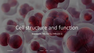 Cell structure and function.pptxmmmmmmmmm | PPTX