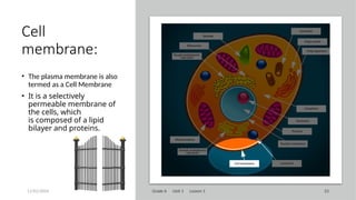 Cell structure and function.pptxmmmmmmmmm | PPTX