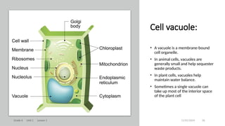 Cell structure and function.pptxmmmmmmmmm | PPTX
