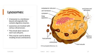 Cell structure and function.pptxmmmmmmmmm | PPTX