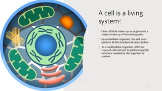 Cell structure and function.pptxmmmmmmmmm | PPTX