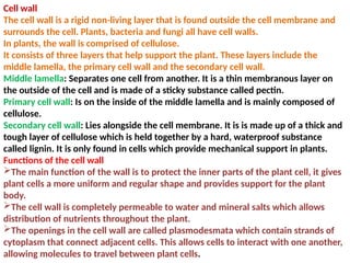 Cell structure and function. .pptx