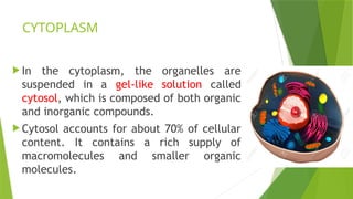 cell structure and function.pptx........ | PPTX
