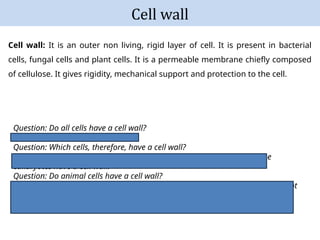Cell Architecture and Operation Principles.pptx