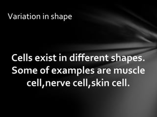 Cell structure and function biology | PPT