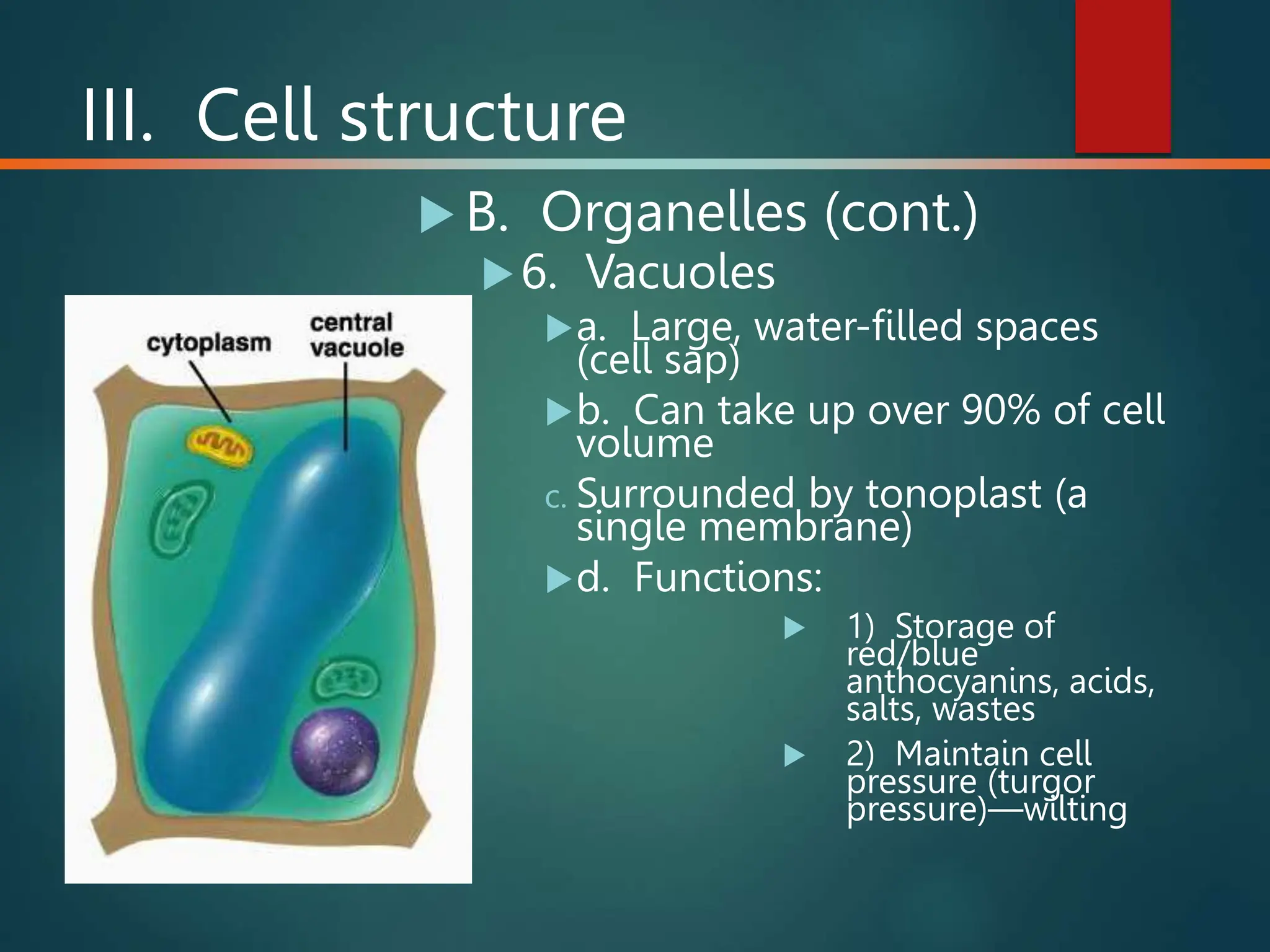 Cell structure and function basics of cell biology | PPT
