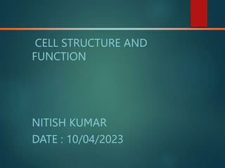 Cell structure and function basics of cell biology | PPT