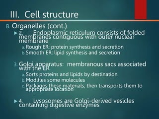 Cell structure and function basics of cell biology | PPT