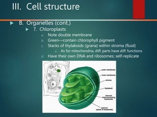 Cell structure and function basics of cell biology | PPT