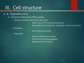 Cell structure and function basics of cell biology | PPT