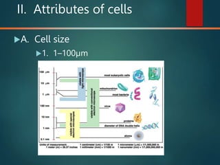 Cell structure and function basics of cell biology | PPT