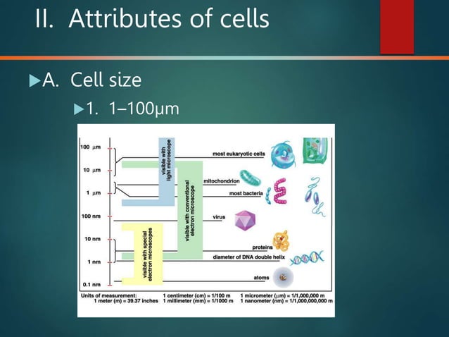 Cell structure and function basics of cell biology | PPT