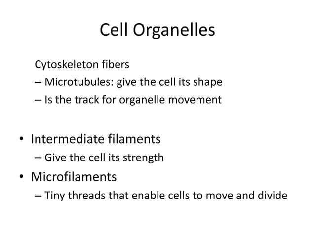 Cell structure and function2012 2013 | PPTX