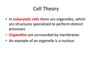 Cell structure and function2012 2013 | PPTX