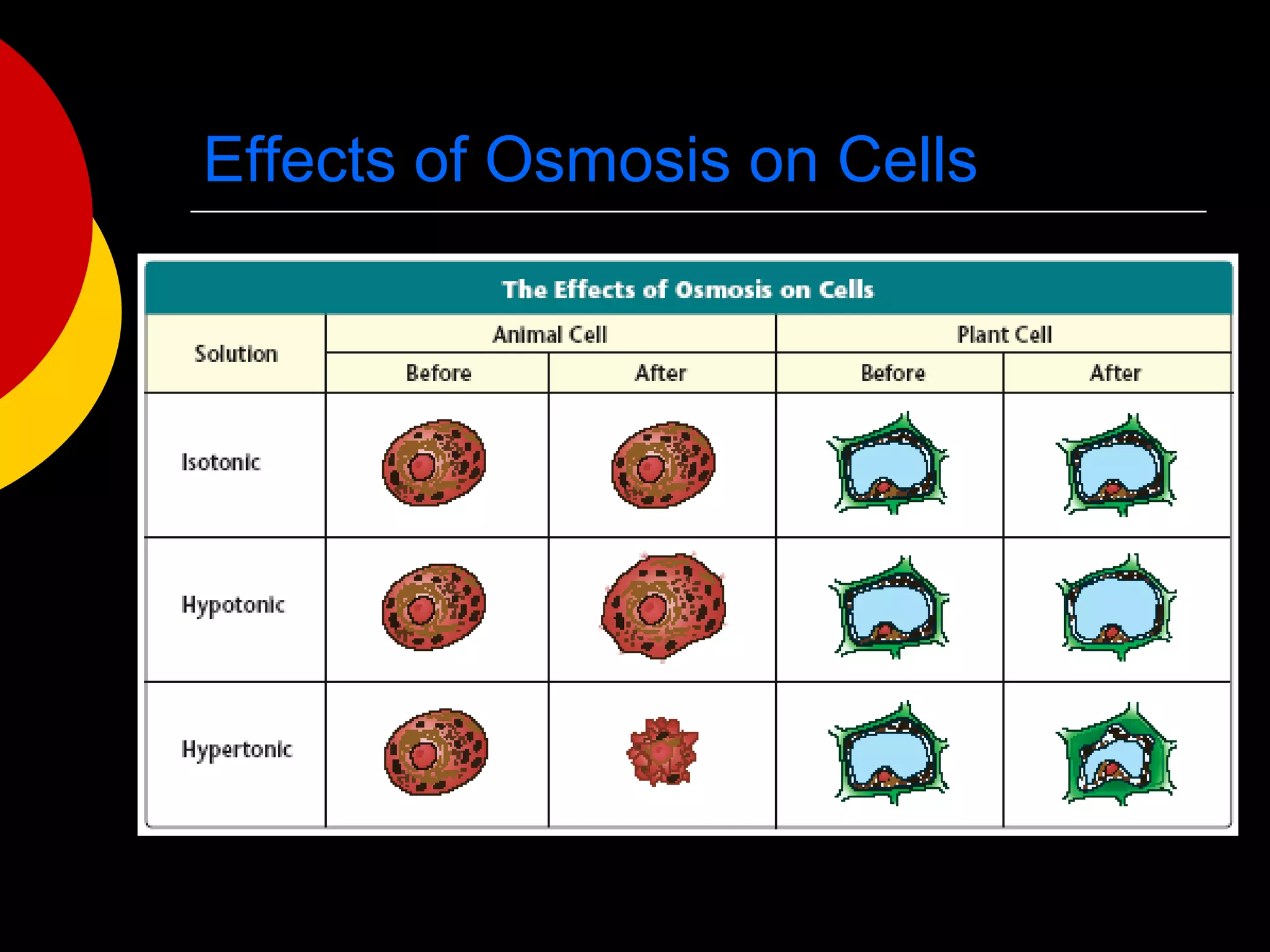 Cell structure and function (Miller and Levine Biology chapter 7) | PPT