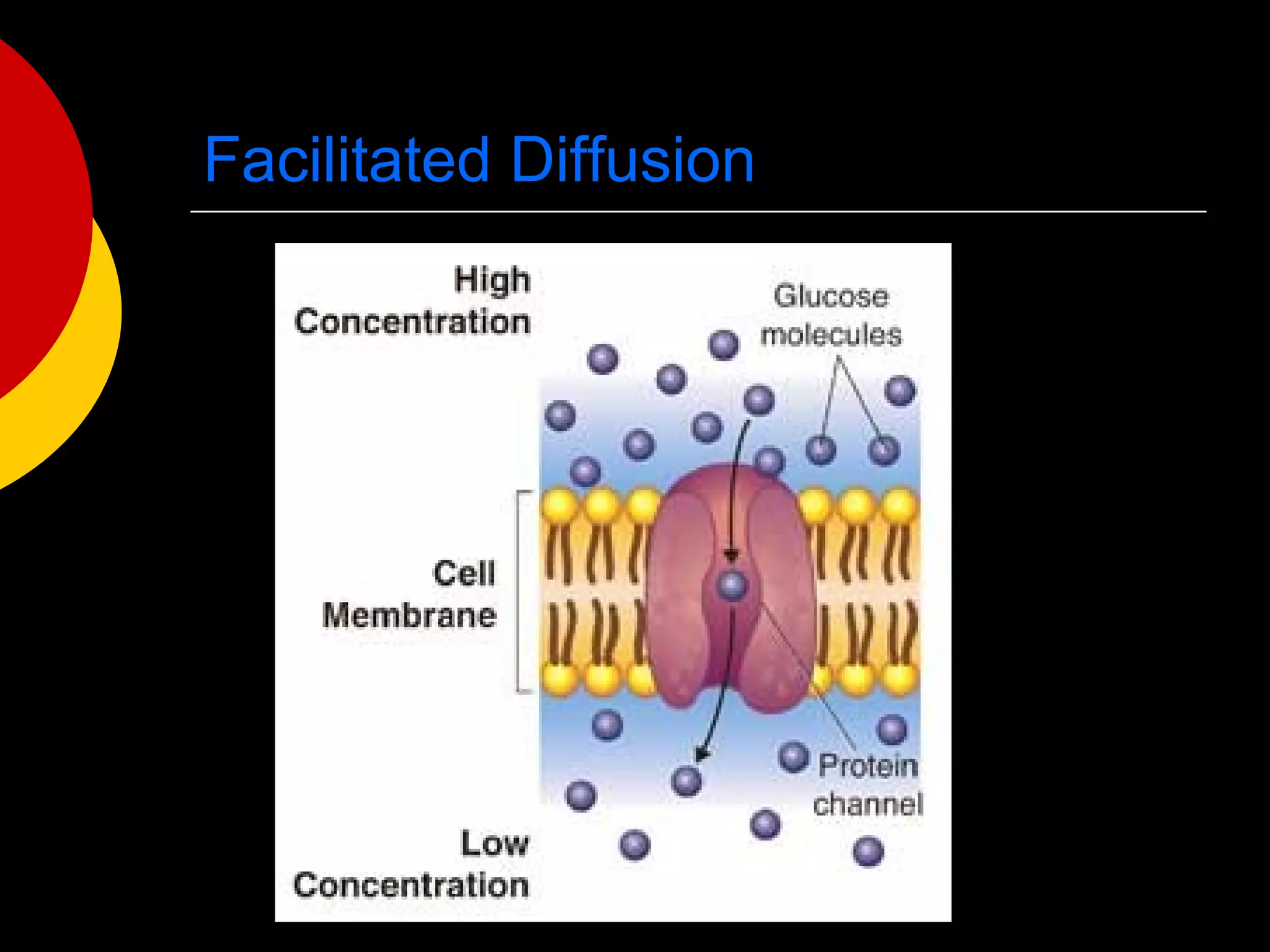 Cell structure and function (Miller and Levine Biology chapter 7) | PPT