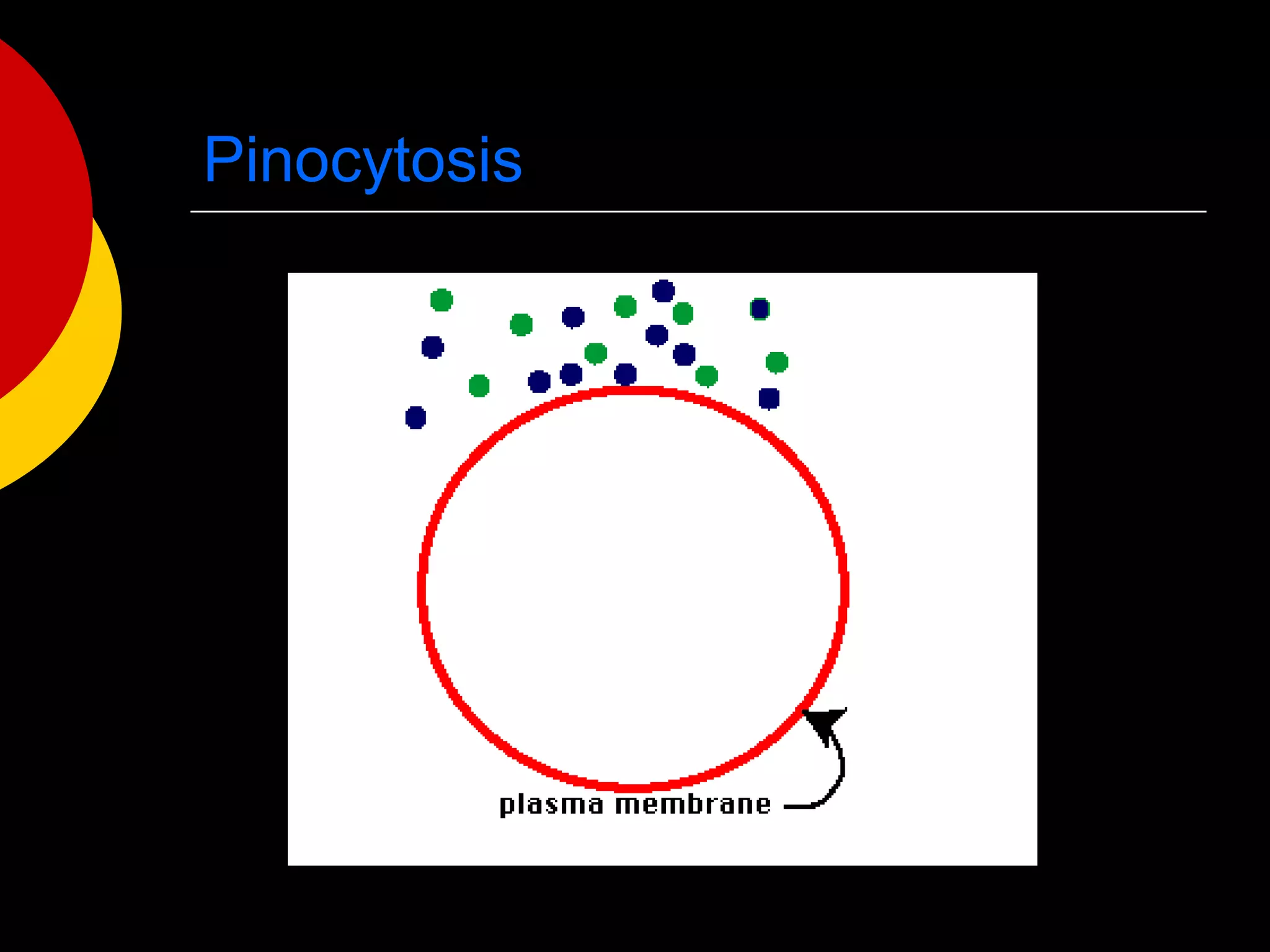 Cell structure and function (Miller and Levine Biology chapter 7) | PPT