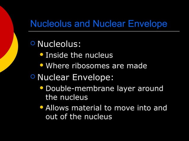Cell structure and function (Miller and Levine Biology chapter 7) | PPT