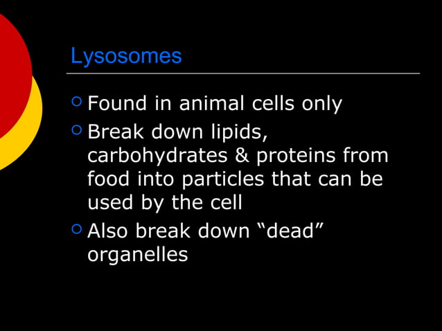 Cell structure and function (Miller and Levine Biology chapter 7) | PPT