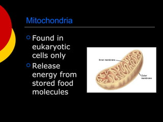 Cell structure and function (Miller and Levine Biology chapter 7) | PPT