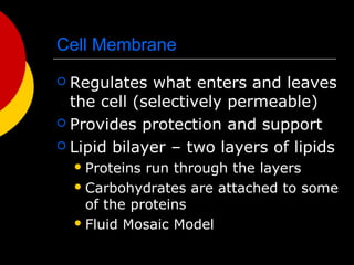 Cell structure and function (Miller and Levine Biology chapter 7) | PPT