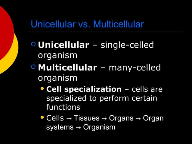 Cell structure and function (Miller and Levine Biology chapter 7) | PPT