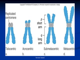 Cell structure and function part 2 for stds ts | PDF | Biological ...