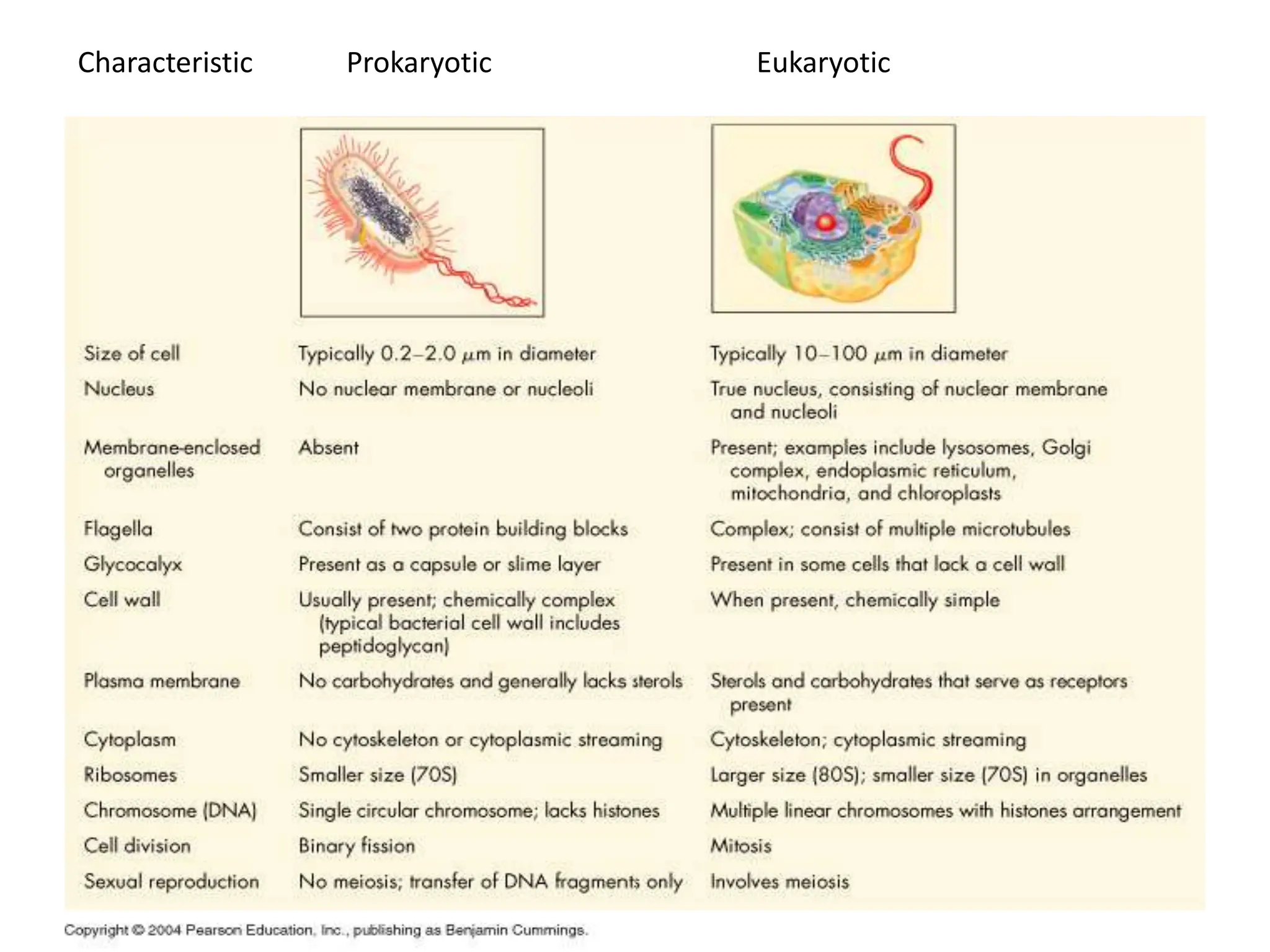 BASIC CELL STRUCTURE AND FUNCTION --PPDS | PPTX
