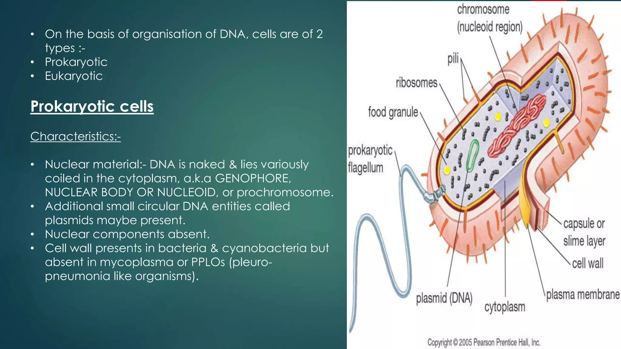 Cell structure and functions | PPTX