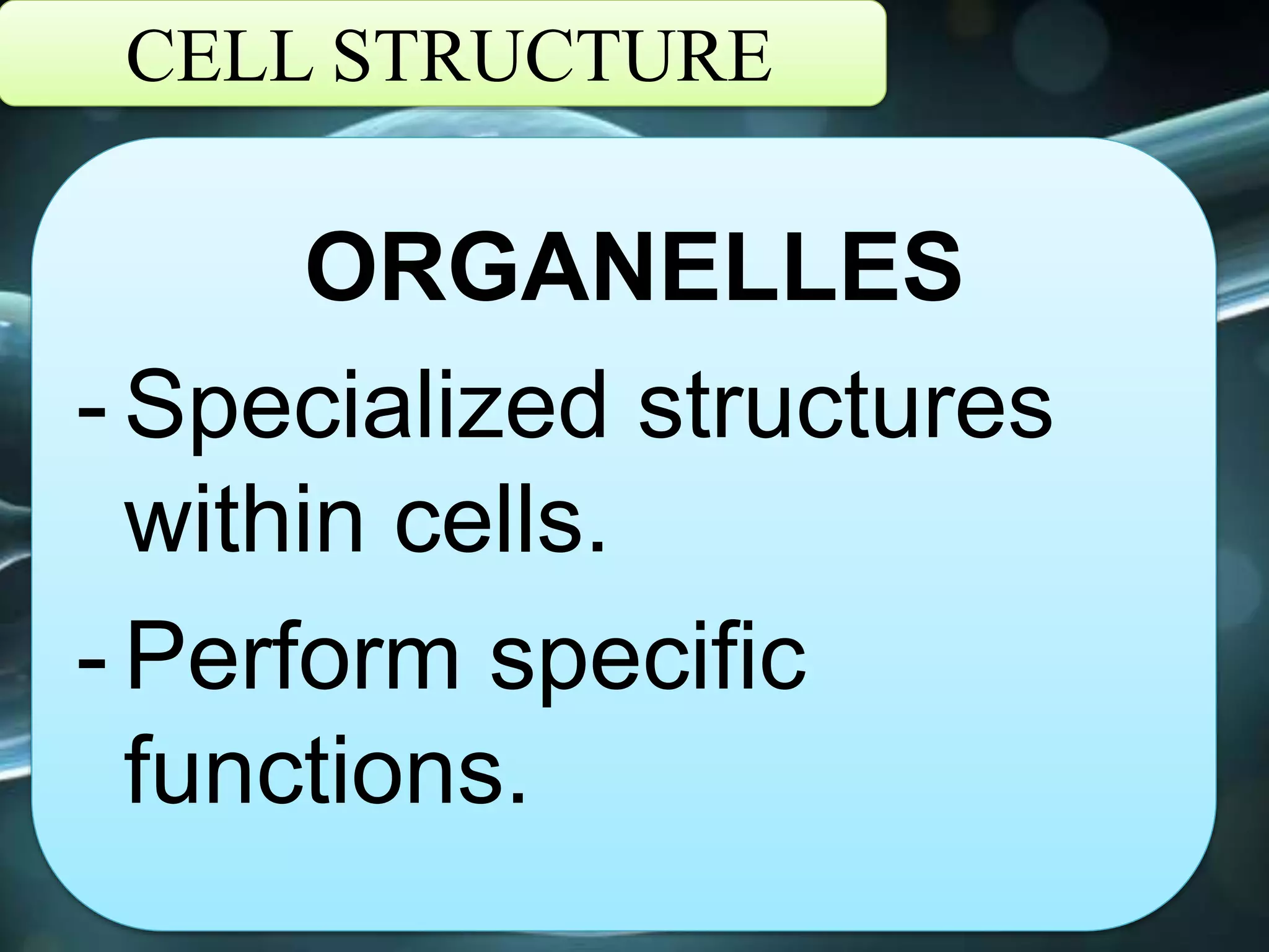 Cell structure and functions | PPTX
