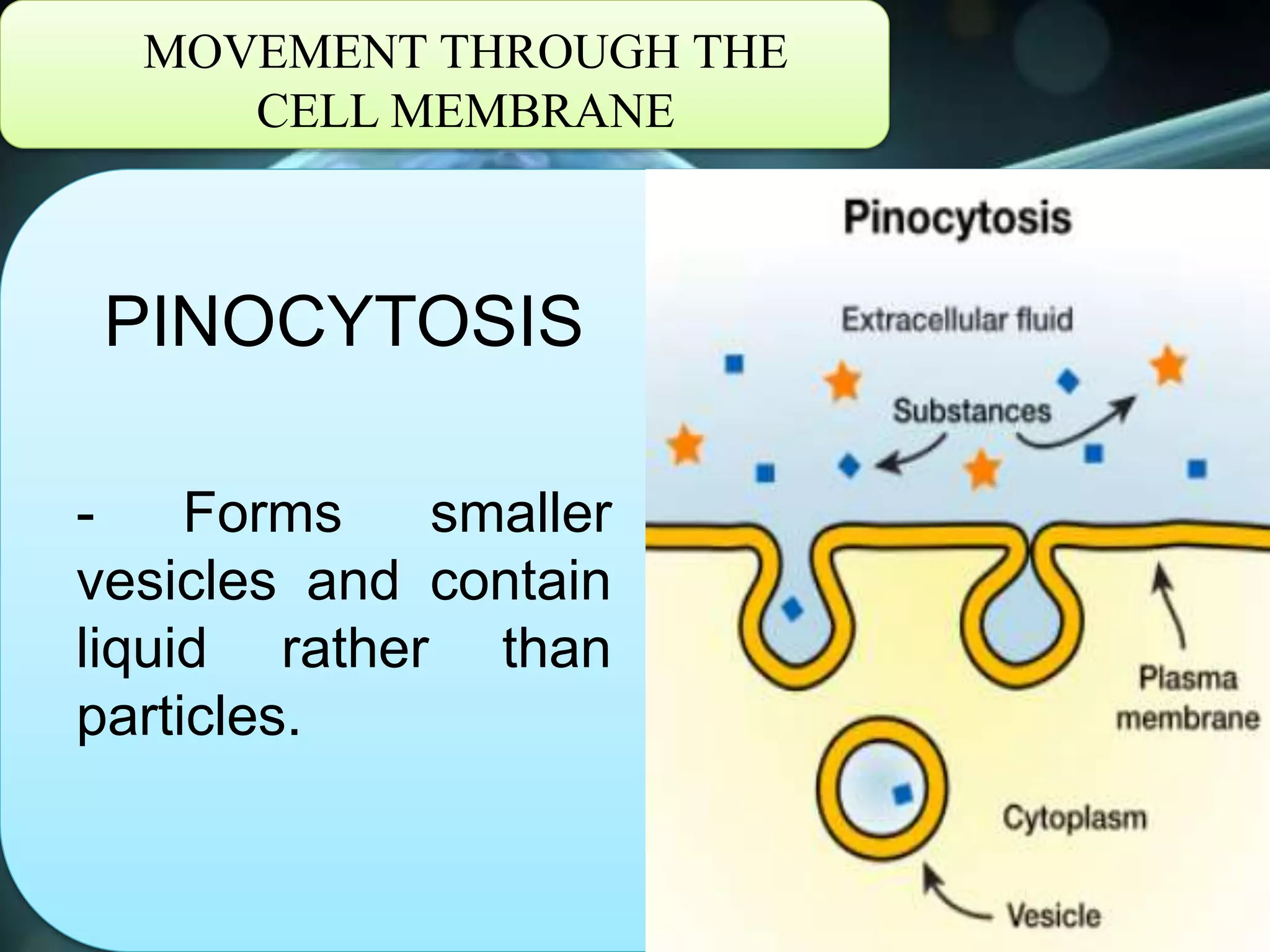Cell structure and functions | PPTX