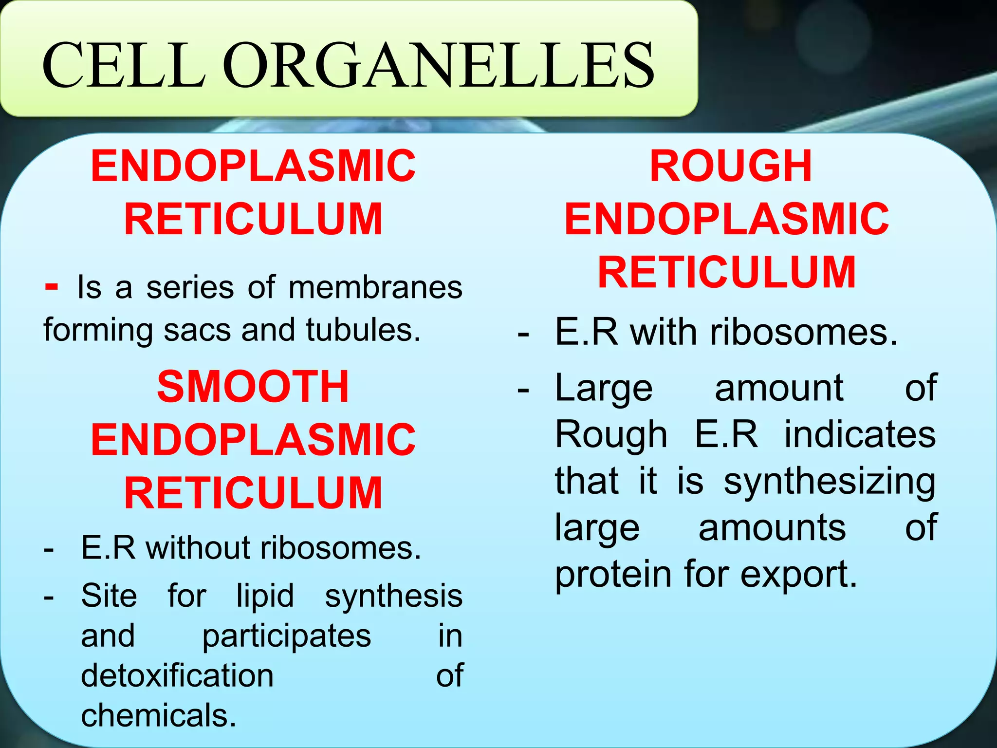 Cell structure and functions | PPTX