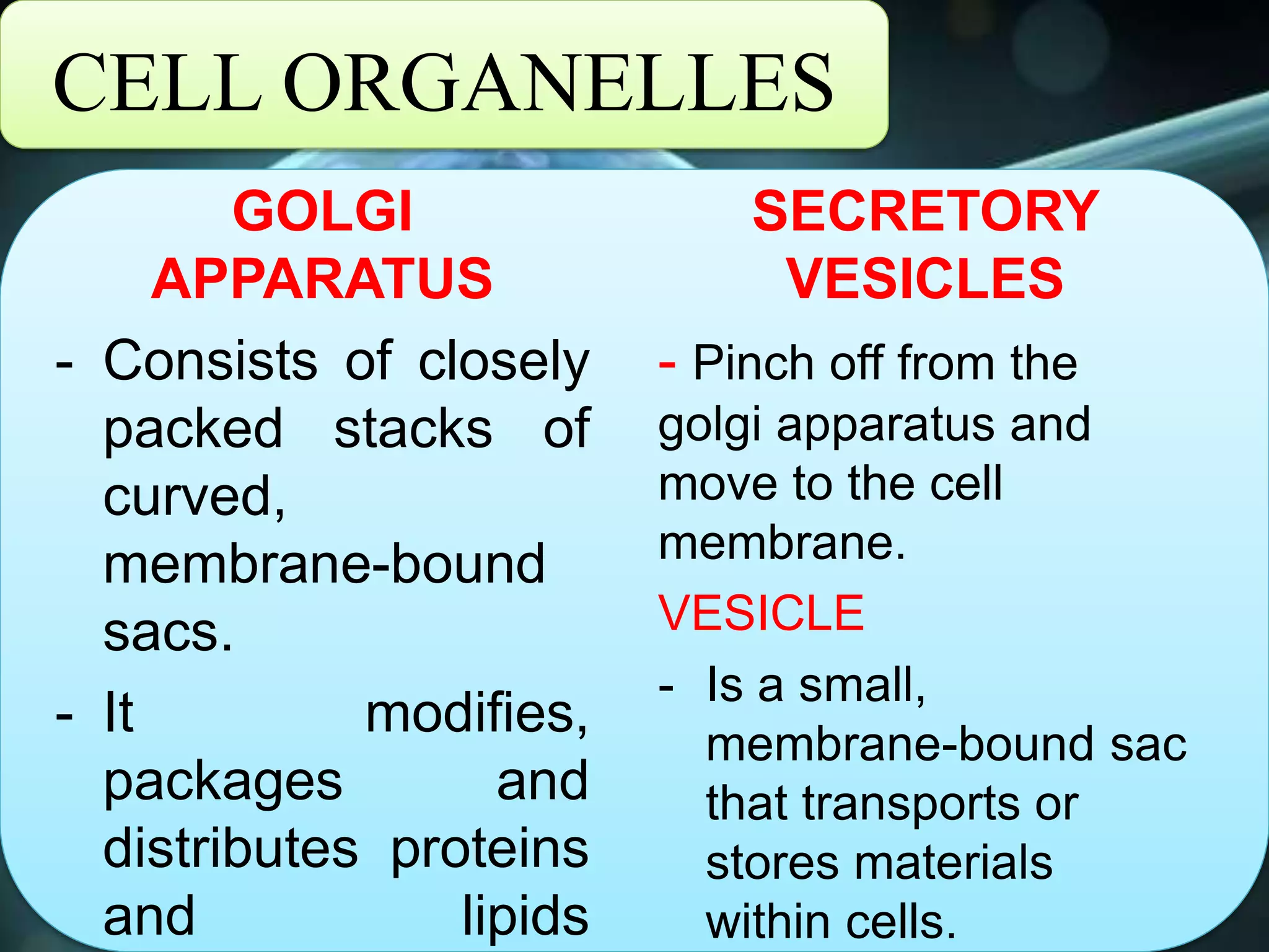 Cell structure and functions | PPTX