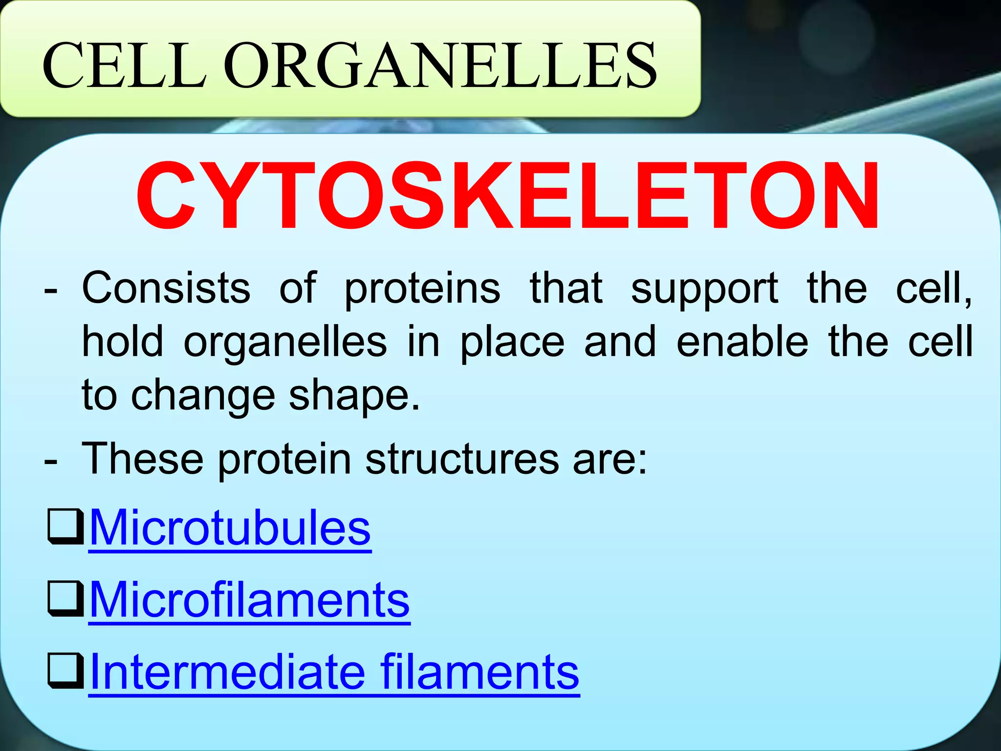 Cell structure and functions | PPTX