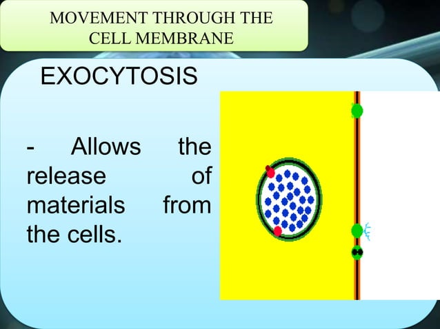 Cell structure and functions | PPTX