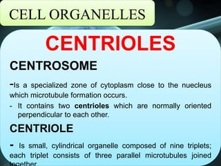 Cell structure and functions | PPTX