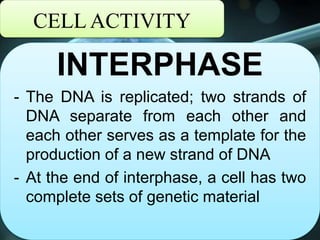 Cell structure and functions | PPTX