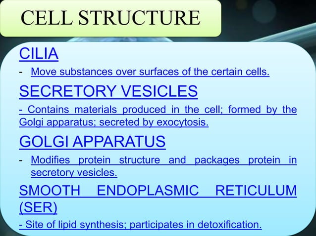 Cell structure and functions | PPTX