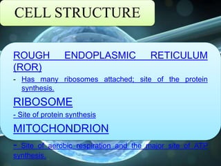 Cell structure and functions | PPTX