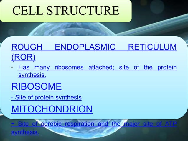 Cell structure and functions | PPTX