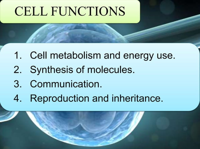 Cell structure and functions | PPTX