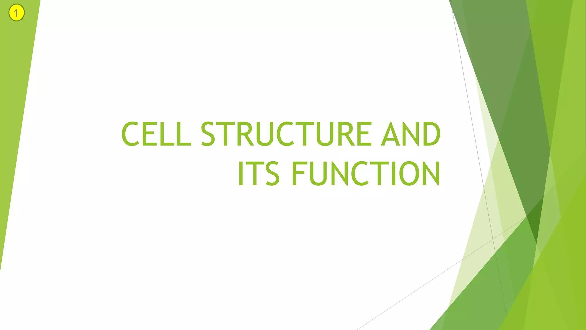 Cell structure and its function | PPT