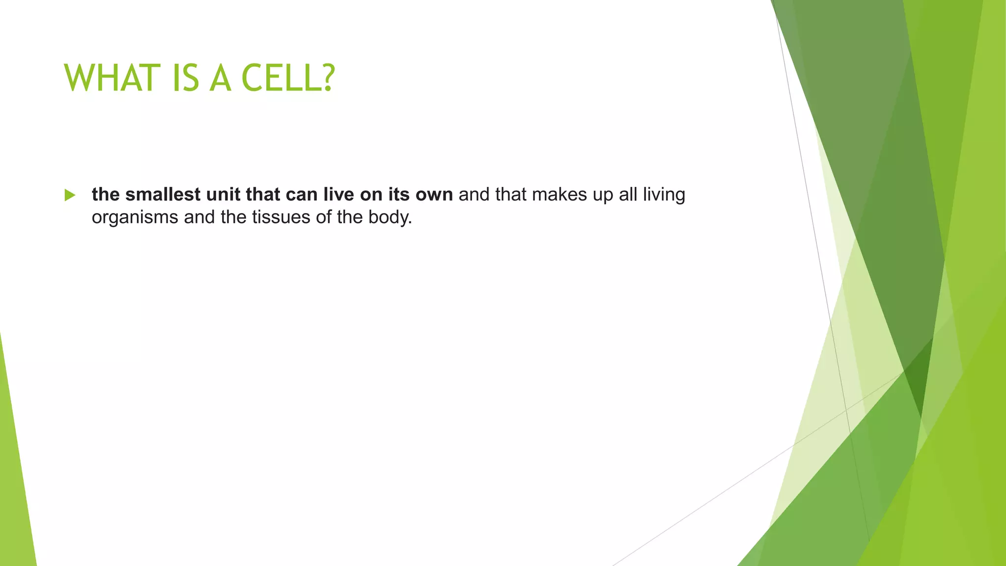 Cell structure and its function | PPT