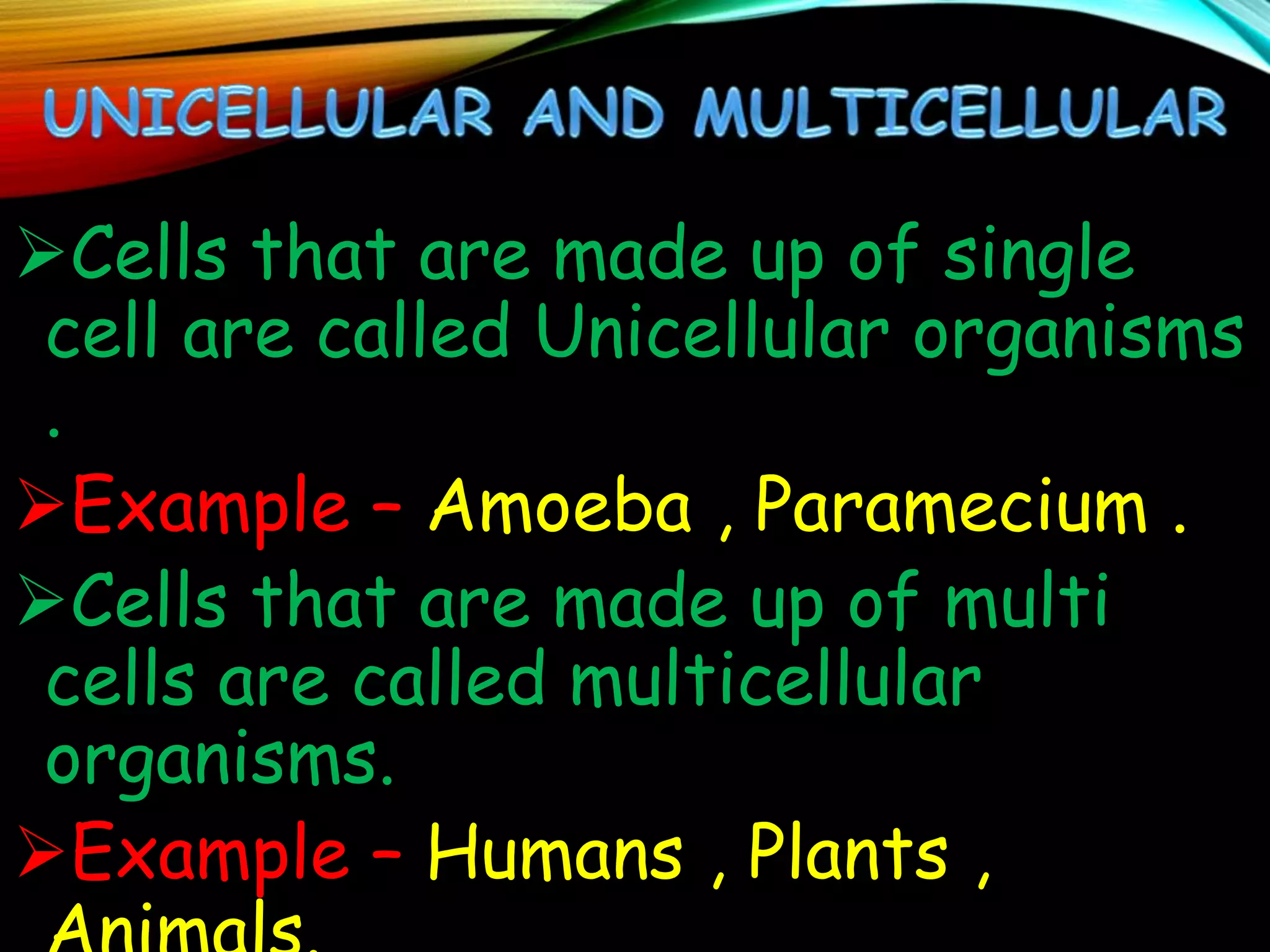 Cell structure and it’s functions | PPTX | Biological Sciences | Science
