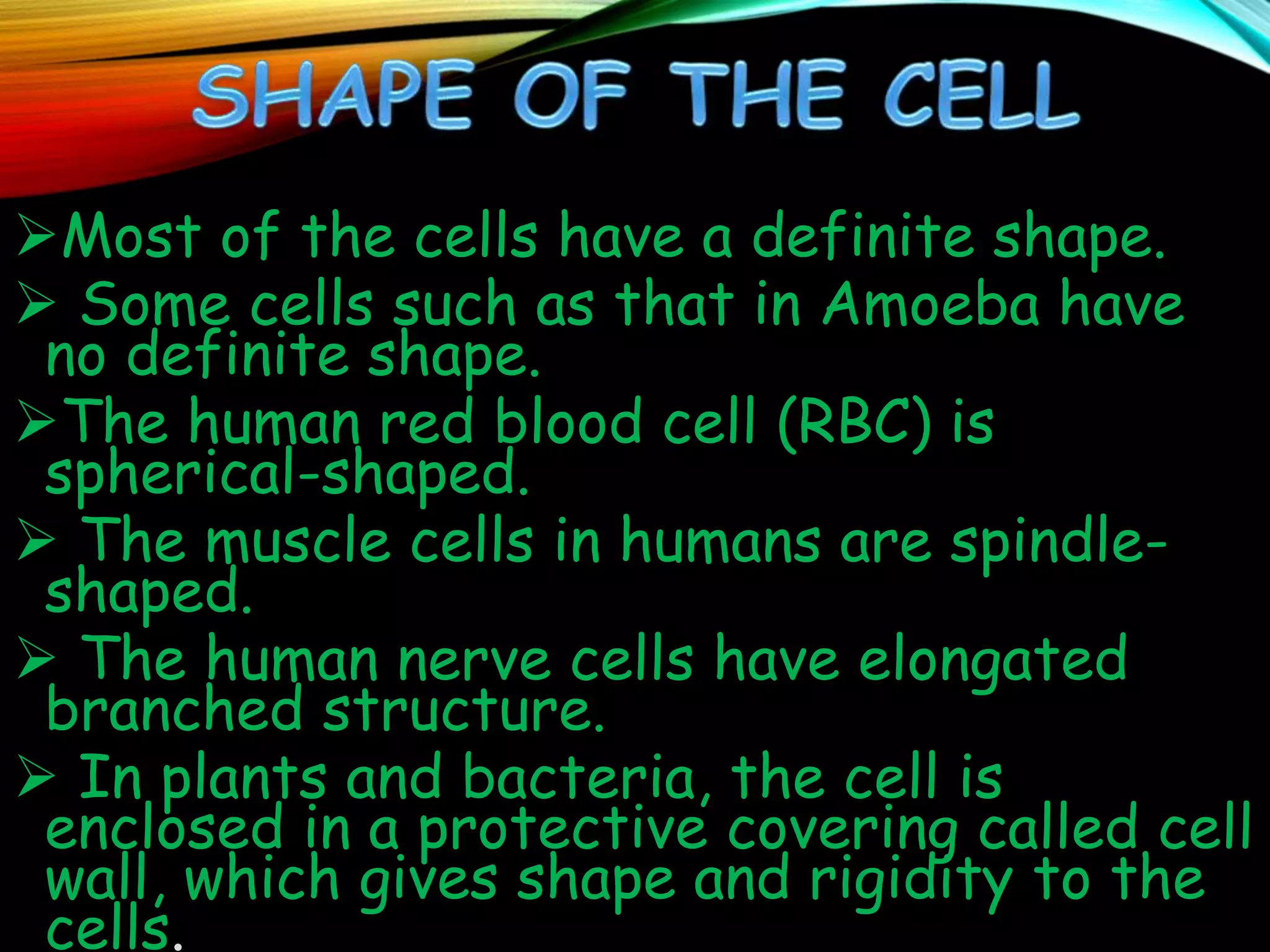 Cell structure and it’s functions | PPTX