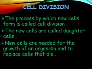 Cell structure and it’s functions | PPTX