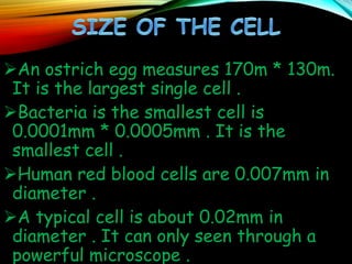 Cell structure and it’s functions | PPTX